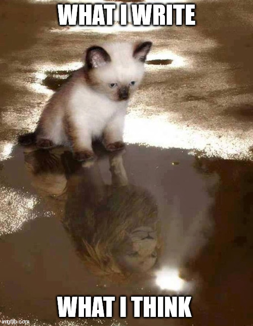 Self Image - Imgflip