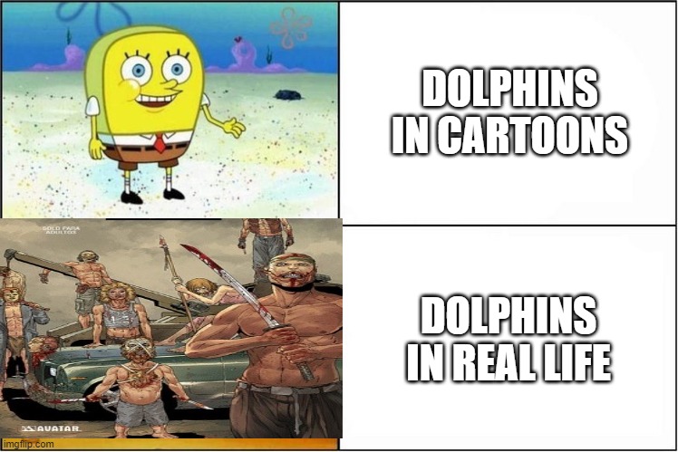 Dolphins are pretty scary bastards - Imgflip