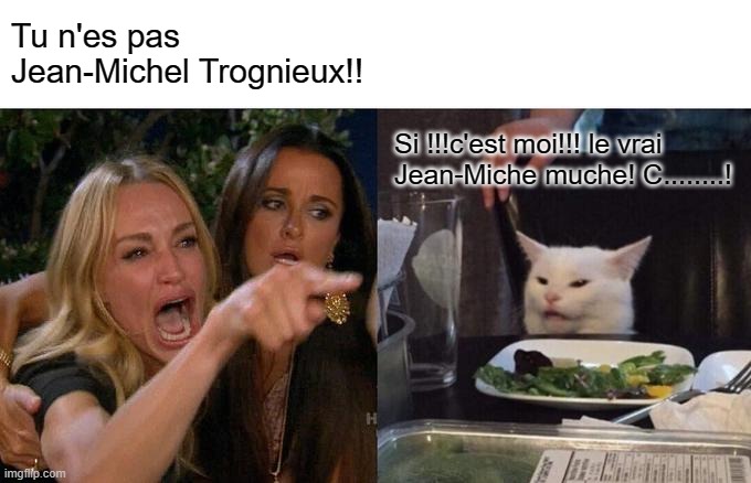 Woman Yelling At Cat Meme - Imgflip