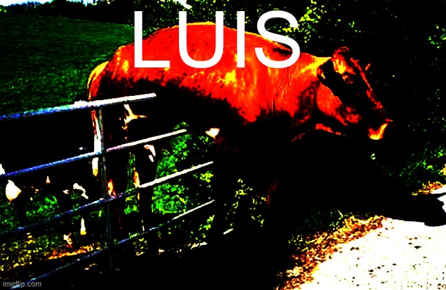 LUIS - Imgflip