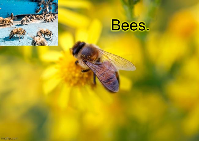 New temp btw - Imgflip