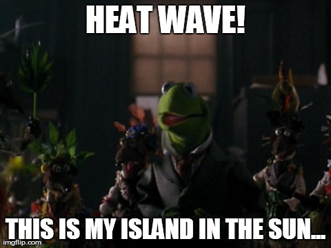 Image tagged in heat wave - Imgflip