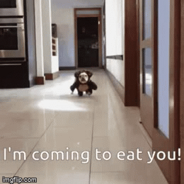Im Coming Gif