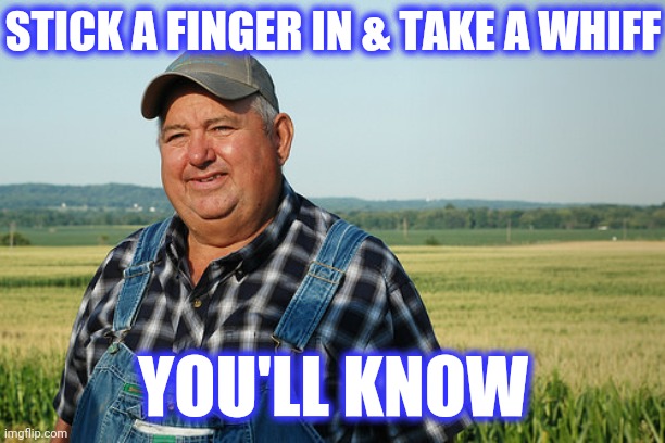 Which end ? - Imgflip