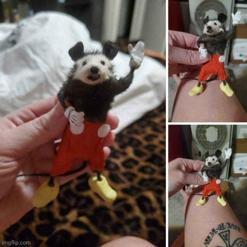 Taxidermy Mickey mouse - Imgflip
