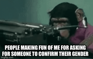 Monkey Typing - Imgflip