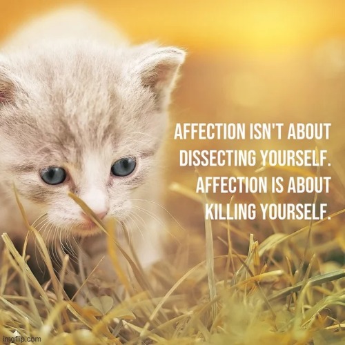 (mod note: Nice quote bro) - Imgflip