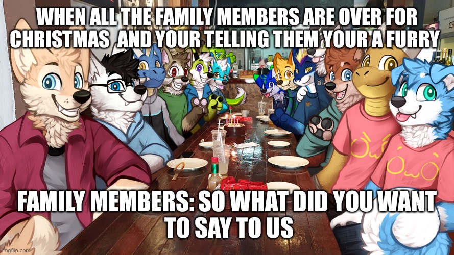 Furry Family Memes Elderly Cat Spends Birthday In Animal Shelter,