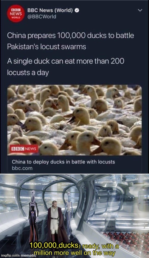 Begun the duck war has - Imgflip