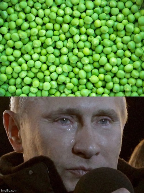 Vote Common Sense Party for free copium for all AUP members! - Imgflip