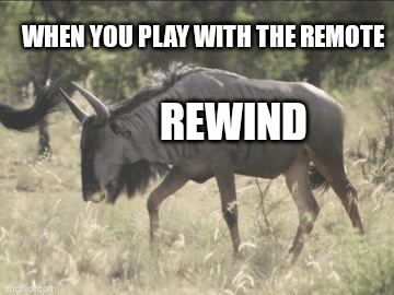 When you play with the remote - Imgflip