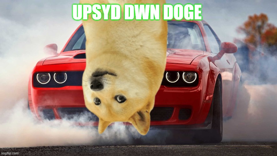 Doge UPSIDE Down - Imgflip
