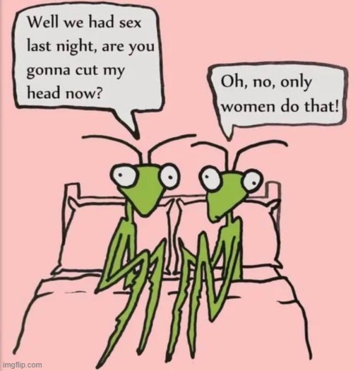 gaying mantis (peak comedy) - Imgflip