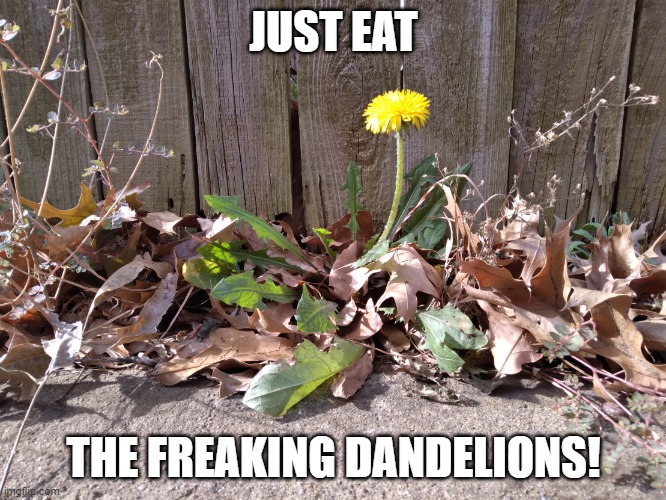 Advice From The Health Ranger - Imgflip