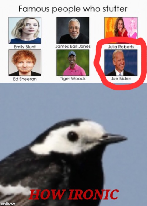 Image tagged in how ironic - Imgflip