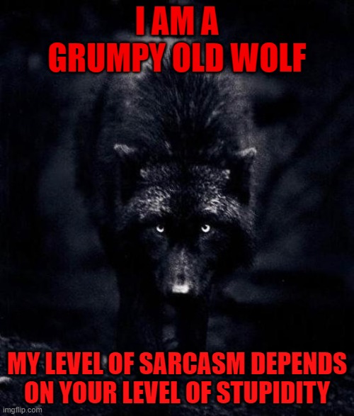 Black Wolf - Imgflip