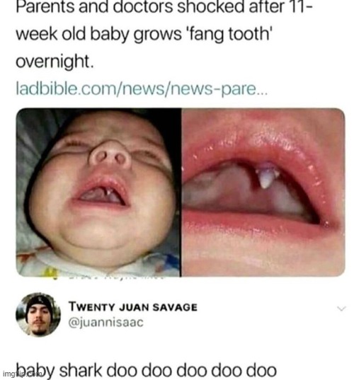 BAYYBEEEE SHARK DOO DOO DOOT DOOT - Imgflip
