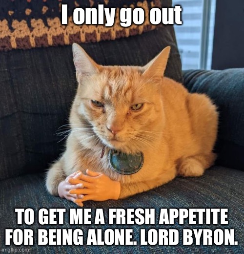 LORD BYRON King of Cat--paw-tail Hill. - Imgflip