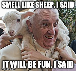 The lamb is like, "whatever" - Imgflip