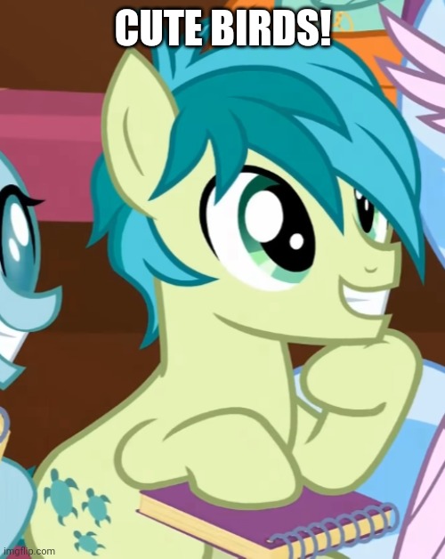 Birdo Memes
