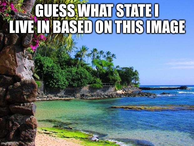 No cheating - Imgflip