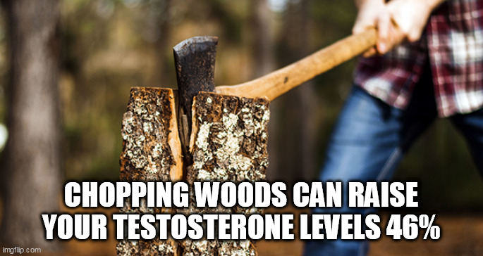 Image tagged in nads - Imgflip