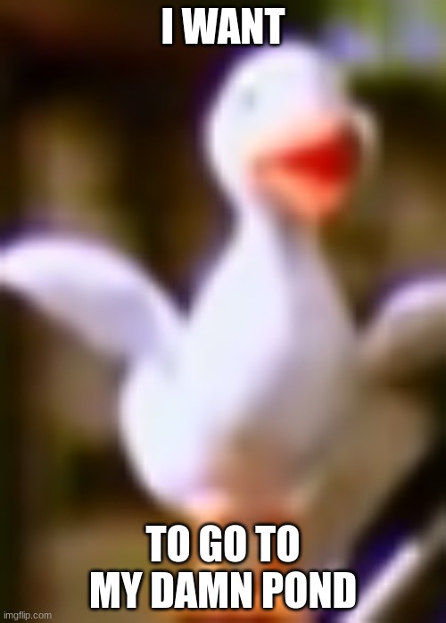 donald duck - Imgflip