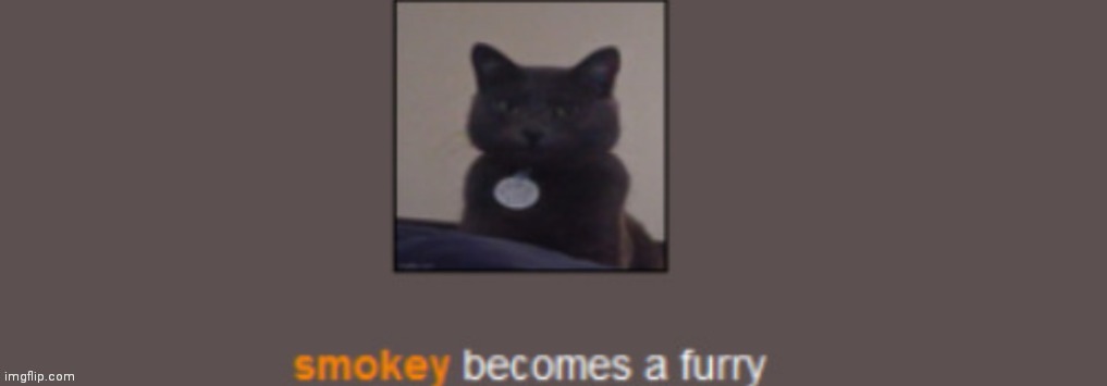 Image tagged in monikrome's hank j wimbleton temp - Imgflip