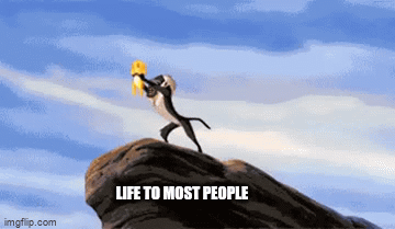 Life. BASICALLY - Imgflip