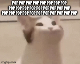 pop - Imgflip