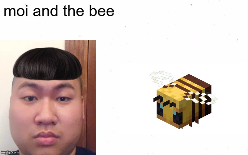 Moi and the Bee Blank Template - Imgflip