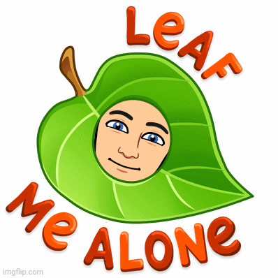 funny leaf - Imgflip