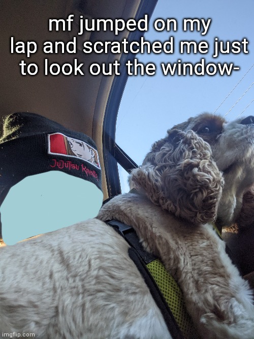 using me as a launching pad and shi :sOb: - Imgflip