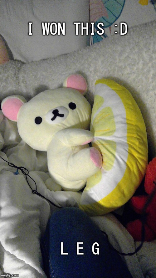 Its a bear hugging a lemon slice - Imgflip