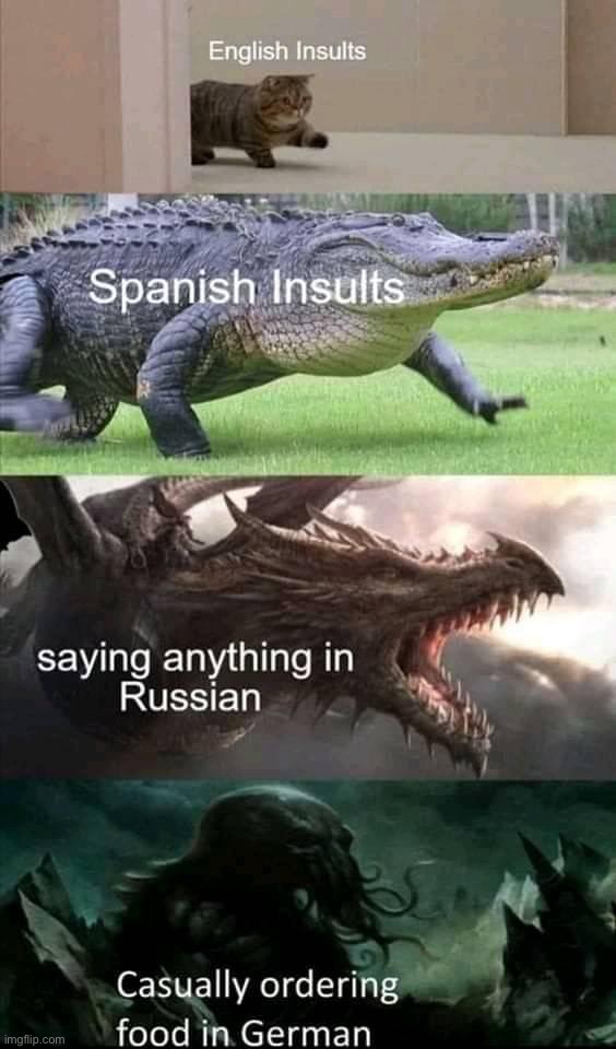 Image Tagged In Multilingual Insults Imgflip