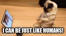 Human or Dog - Imgflip