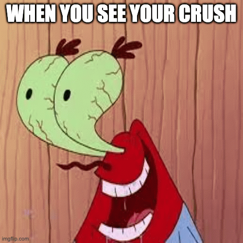 When You See Your Crush Imgflip
