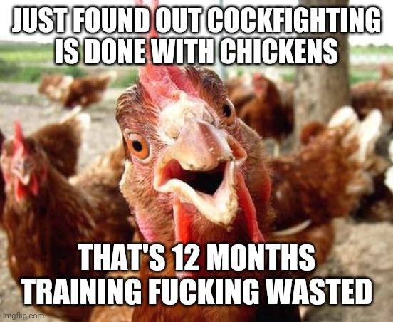 The buck stops here - Imgflip