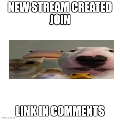 New Stream Imgflip