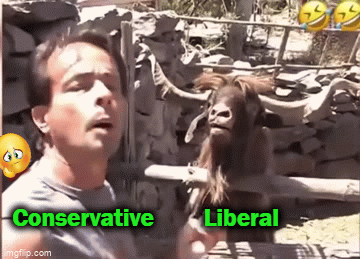 Trying To Reason With A Liberal.... - Imgflip