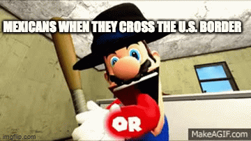 Our Border Crisis summed up by Mario - Imgflip