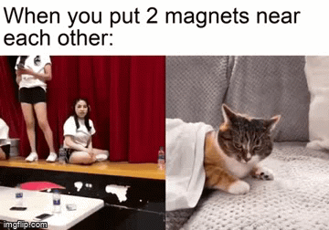 Attraction - Imgflip