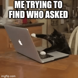 Trying to find who asked - Imgflip