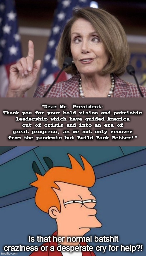 Pelosi's letter of January 7, 2022 - Imgflip