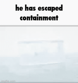 Animated GIF - Imgflip