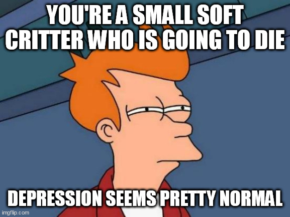 Futurama Fry Meme - Imgflip