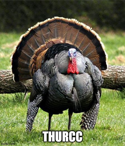 Tired of being compared to the bird, the nation of Turkey to rename ...