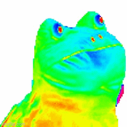 Pepe at the Rave Club - Imgflip