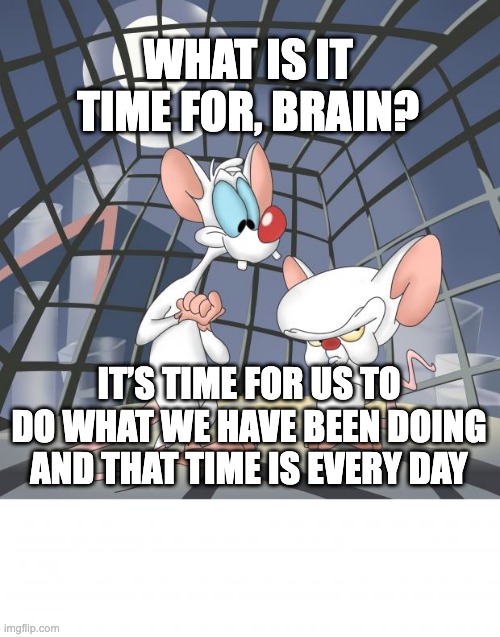 Pinky and the brain - Imgflip
