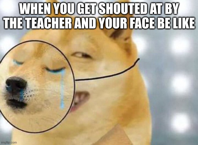 Doge Fake Crying - Imgflip